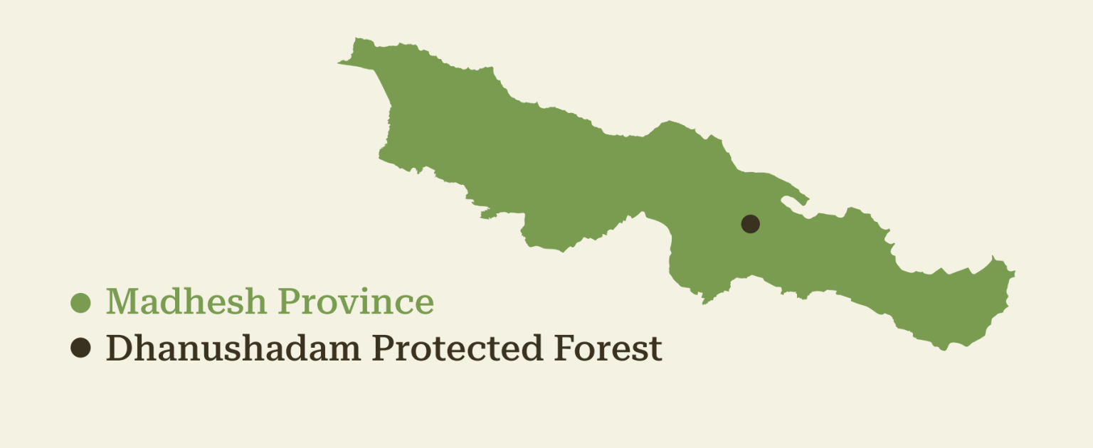 About Us – Mithila Wildlife Trust